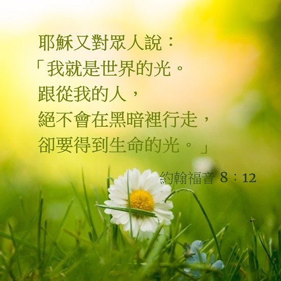 聖經金句-神是世界的光